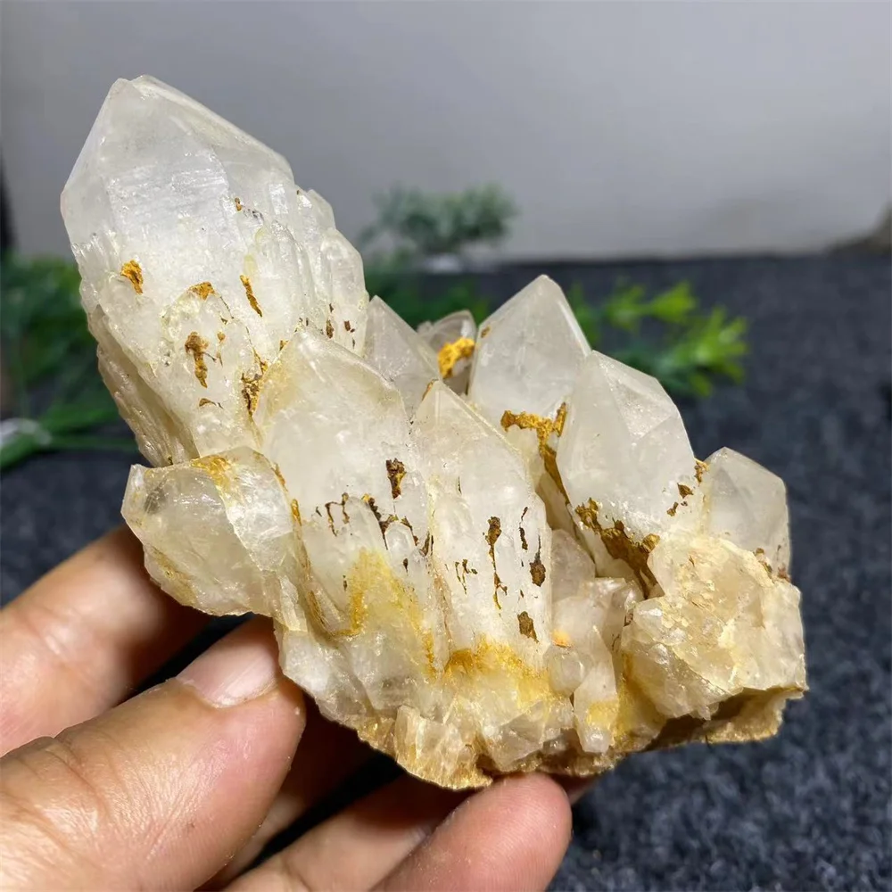 Candlestone Stone Natural Backbone Crystal Healing Geode Specimen ...
