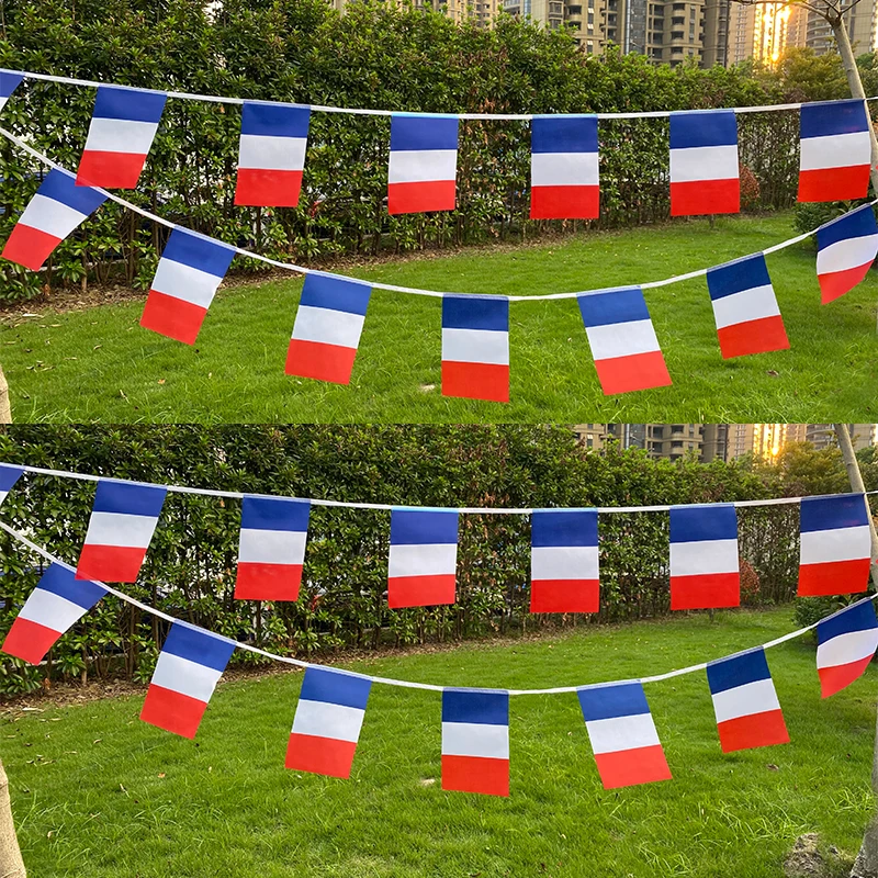 Aerlxemrbrae-20pcs-lot-france-bunting-flags-14x21cm-Pennant-france ...