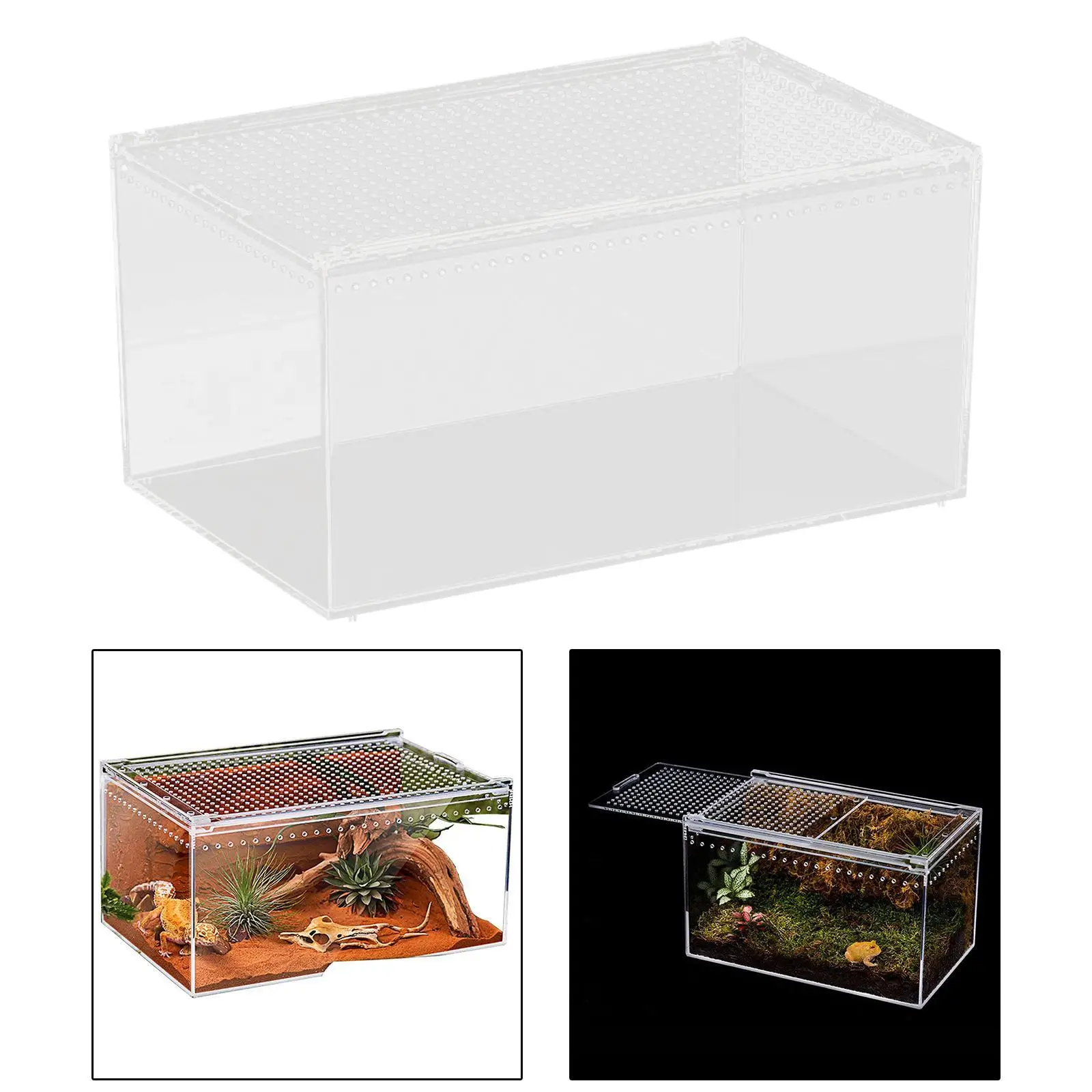 Reptile-Terrarium-Acrylic-Tarantula-Enclosure-Turtle-Tank-Reptile ...