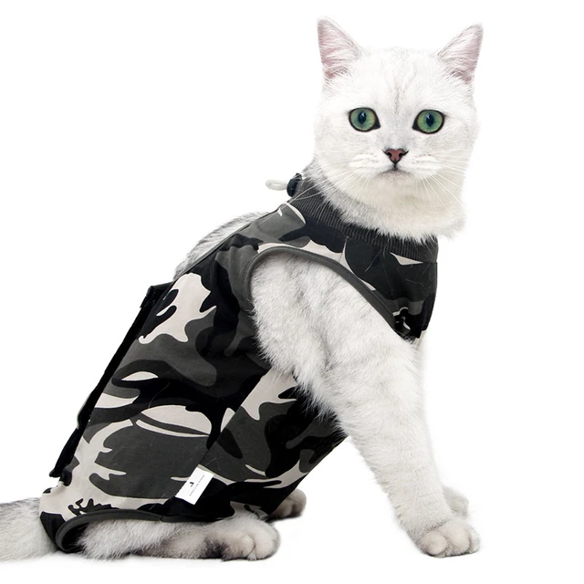 Therapy Cat Vest