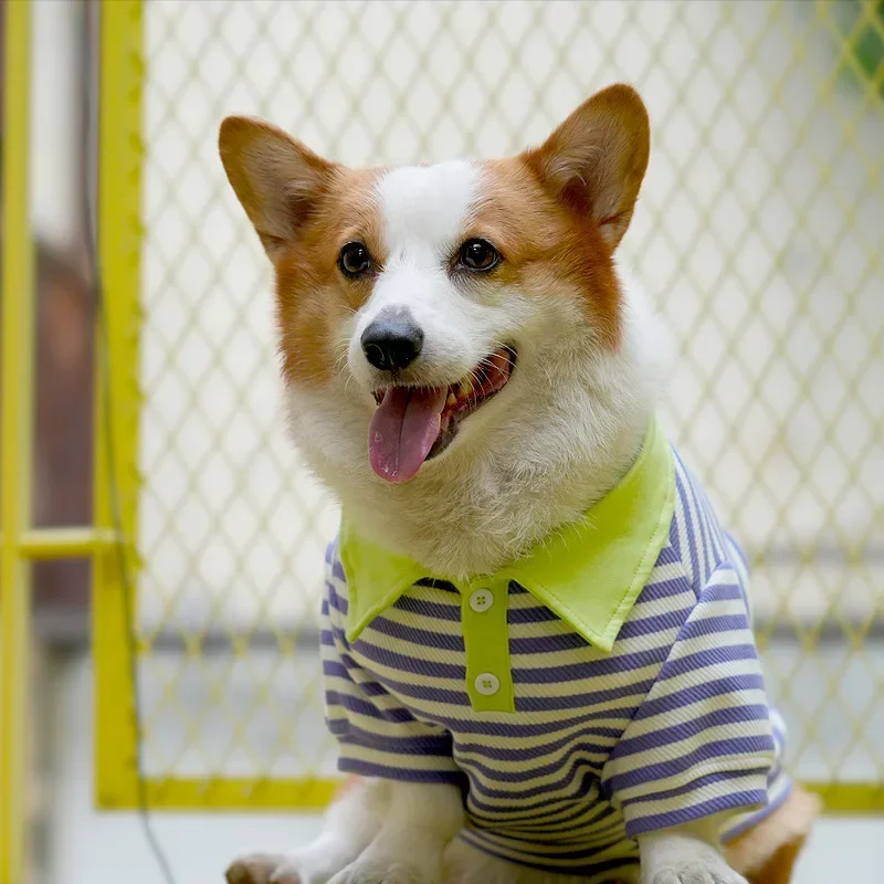 Welsh-Corgi-Pembroke-Dog-Clothes-Hoodie-Shiba-Inu-Clothing-Winter-Pet ...