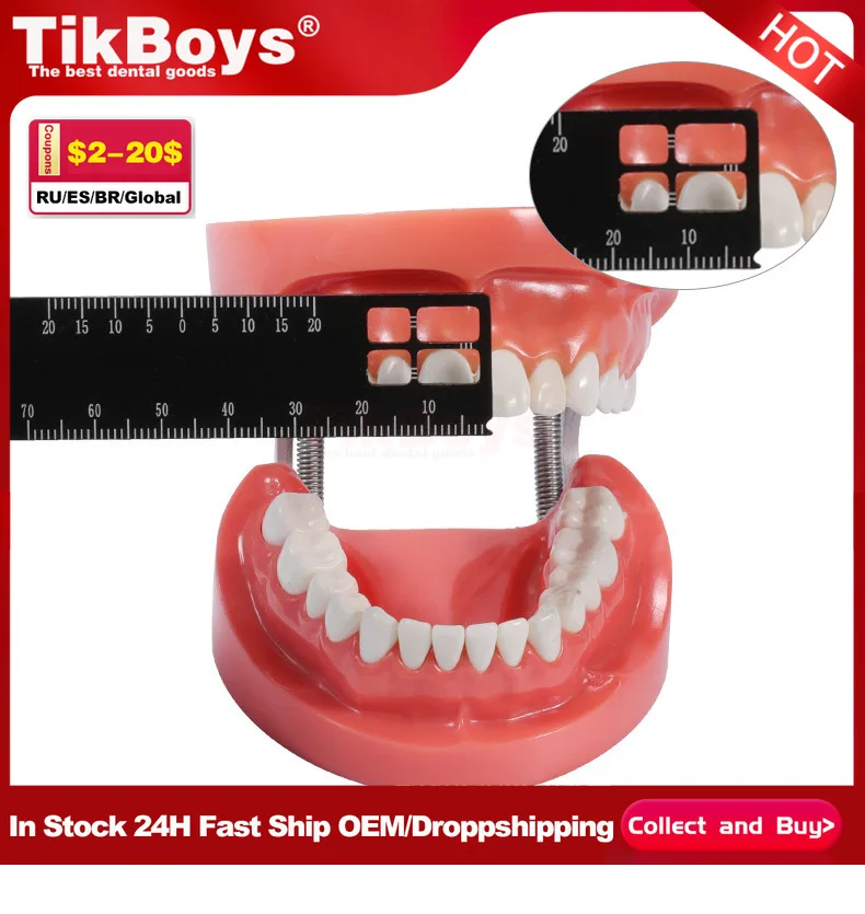 Dental-Precision-Measuring-Ruler-Medical-Tool-Span-Measure-Scale ...