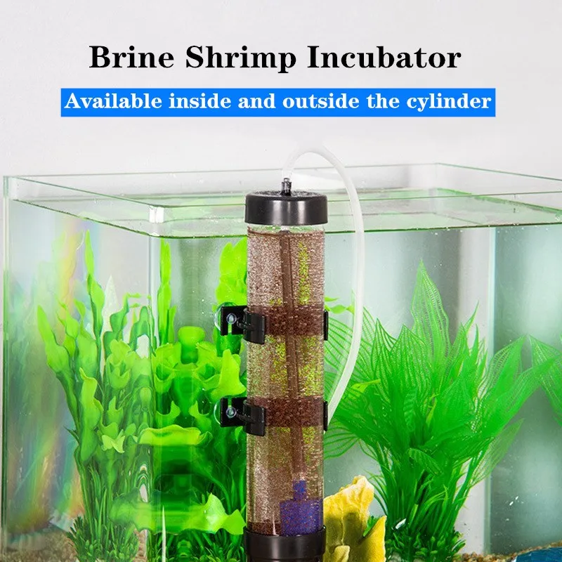 Small Brine Shrimp Tanks