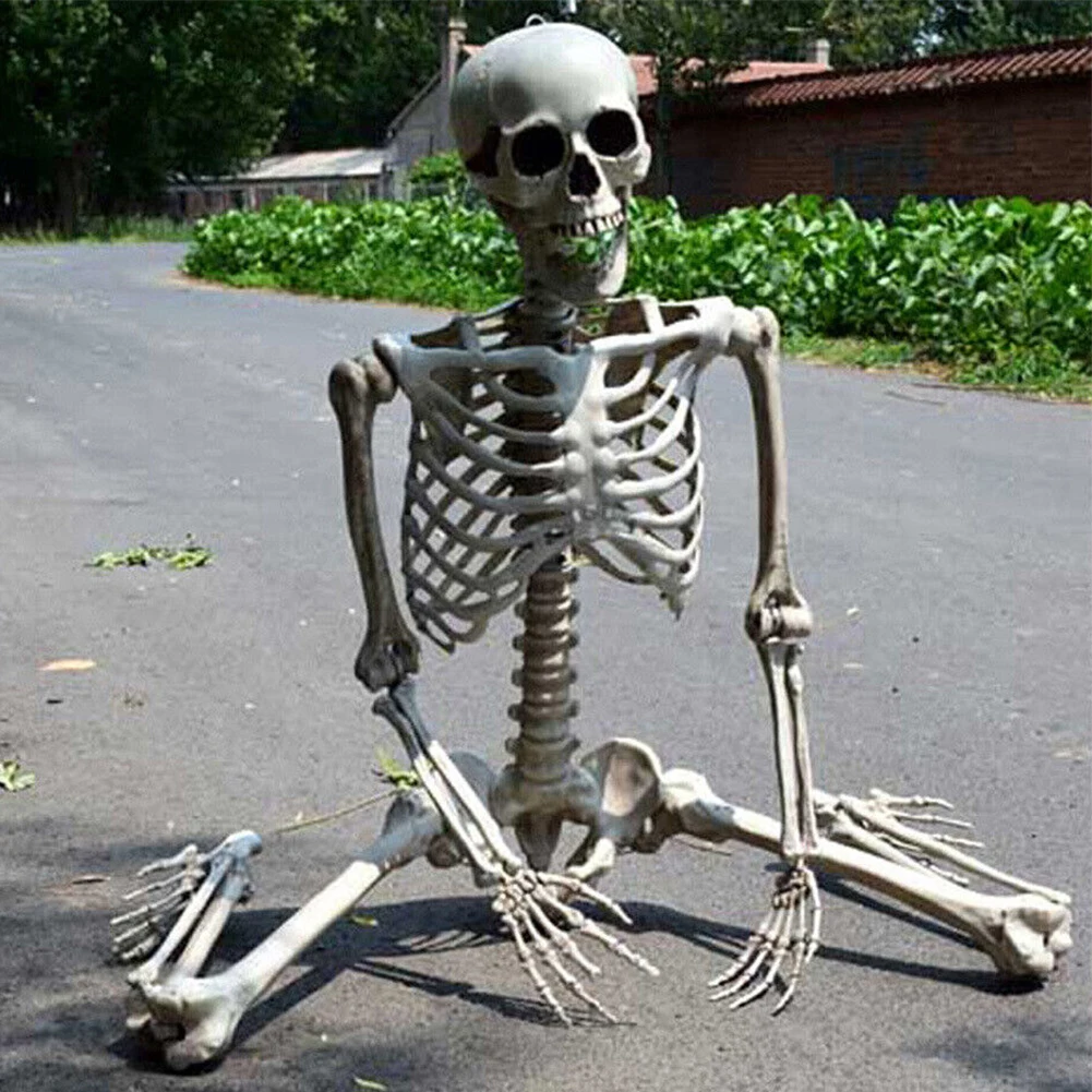 Halloween-Skeleton-Fake-Human-Skull-Bones-90CM-Hanging-Movable-Skeleton ...
