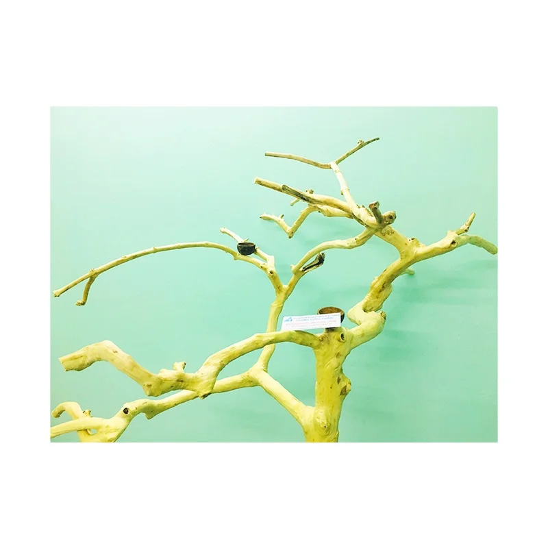 Java-Wood-Bird-Perch-Tree-para-Menos-Atacado-Luxo-Caf-Papagaios-Pre-o ...