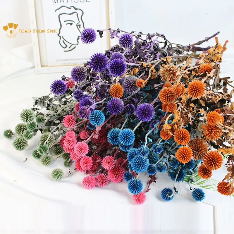 Dried Blue Thorn Celery For Boho Home Accessories Decor Blue Planet ...