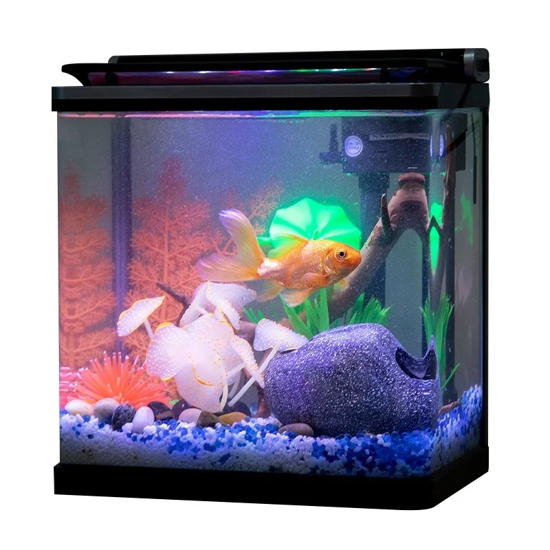1 Gallon Fish Tank