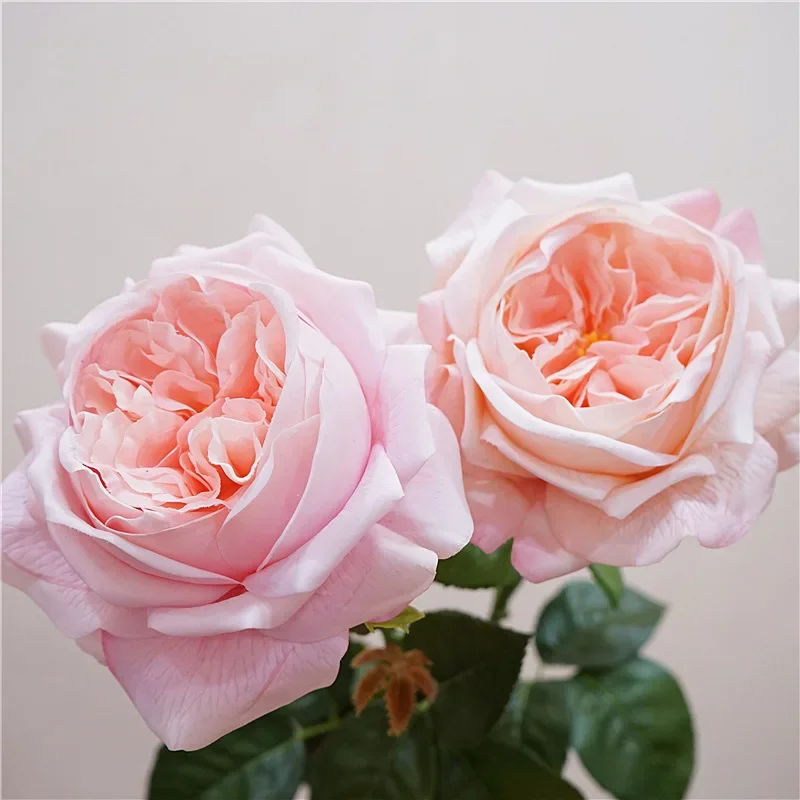 Real-Touch-Artificial-Flowers-Green-Plant-Austin-Juliet-Roses-Brahch ...