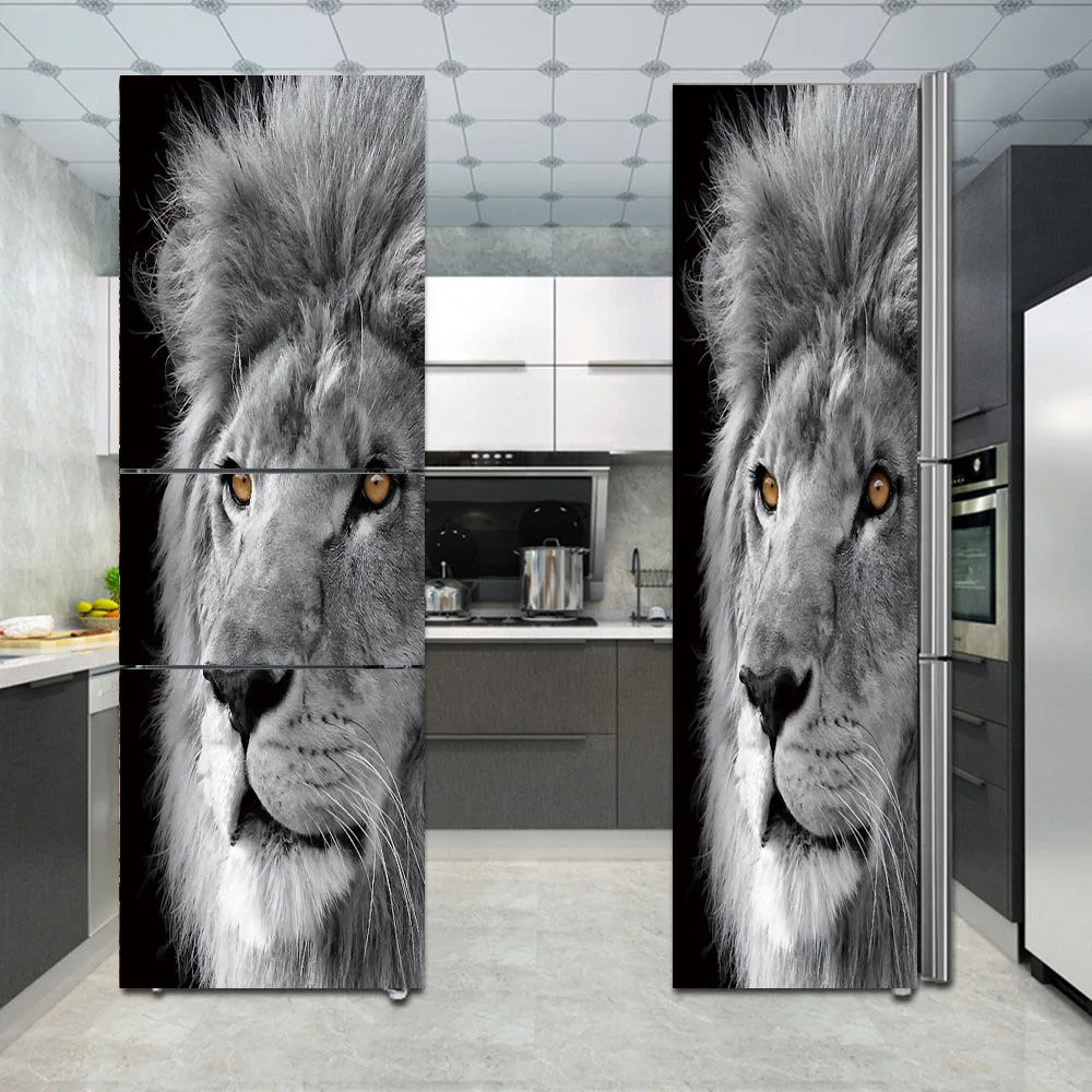 Cool White Lion Pictures