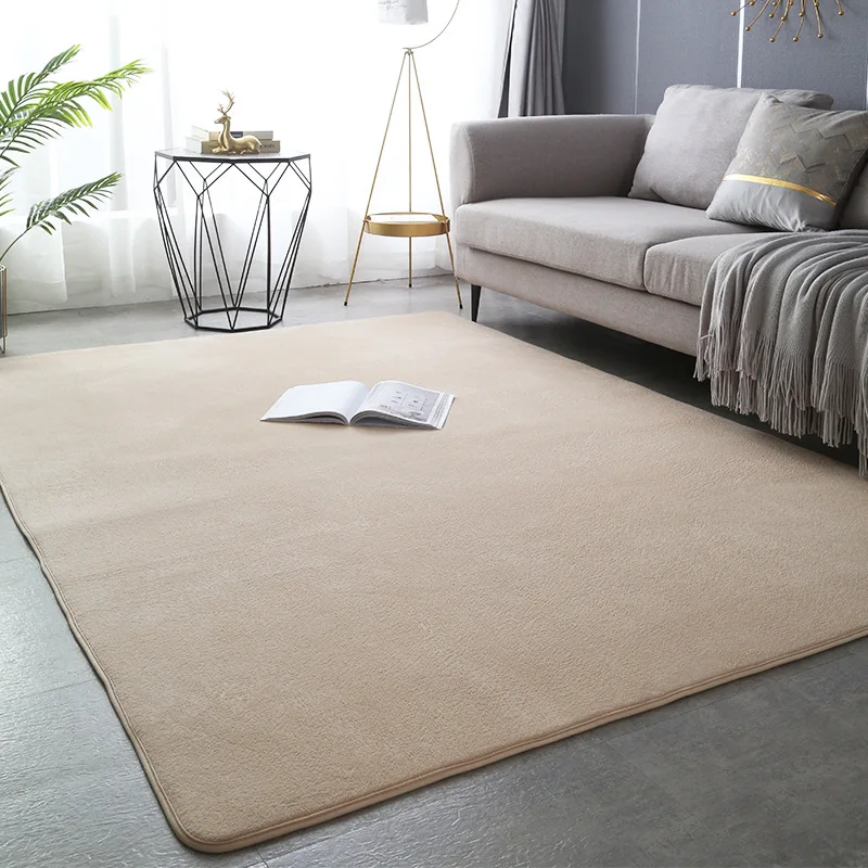 Solid-color-coral-velvet-home-carpet-wholesale-modern-simple-wind ...