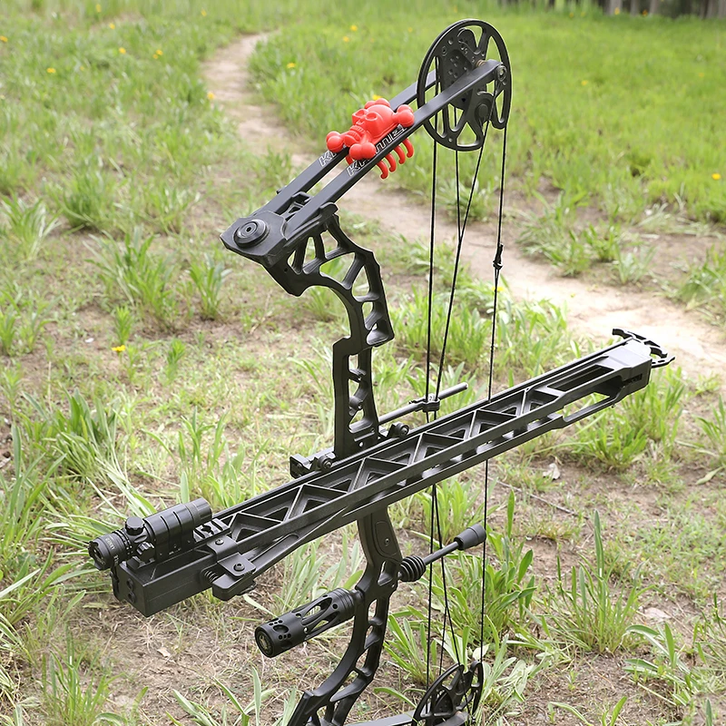 Compound Bow And Arrows