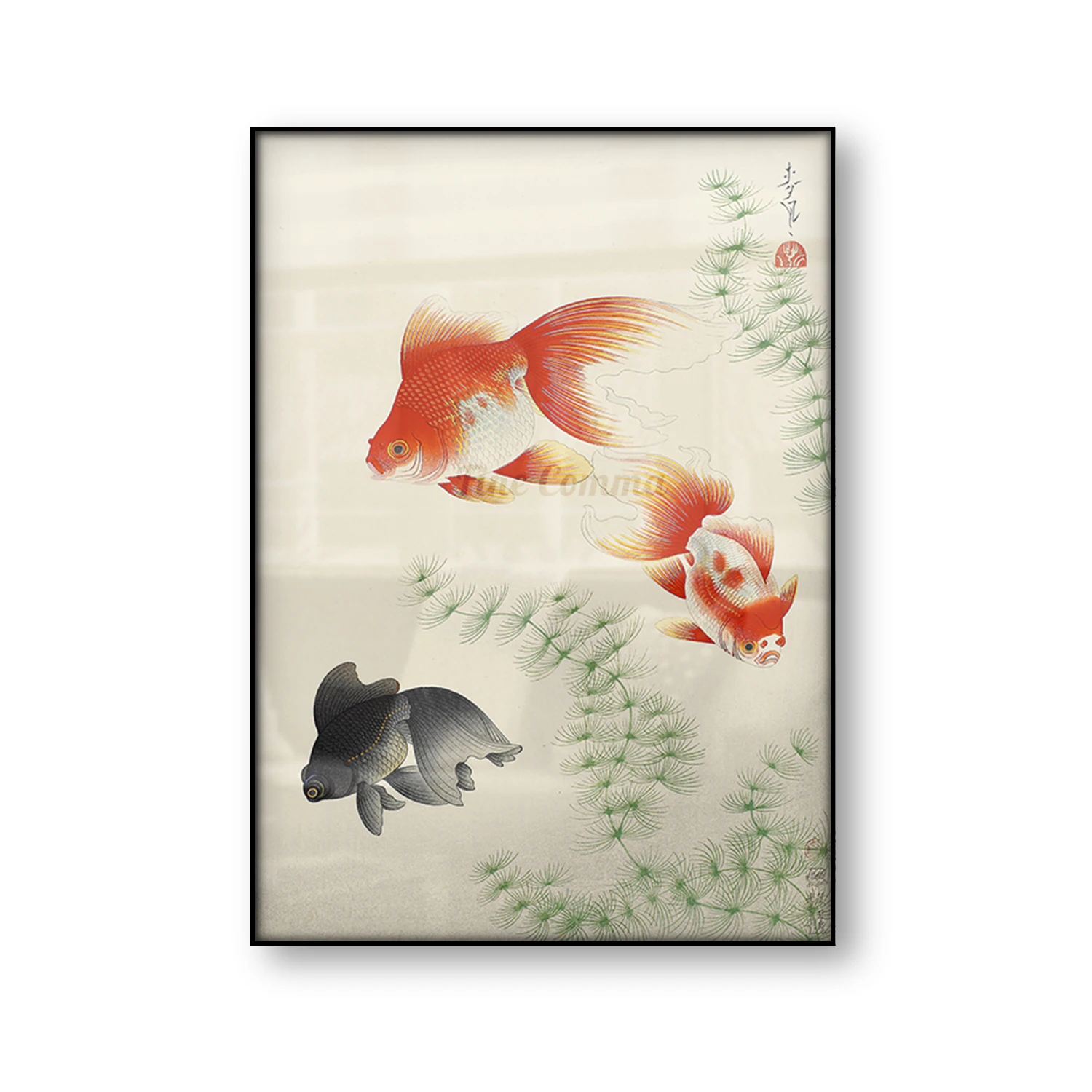 Japanese Goldfish Prints