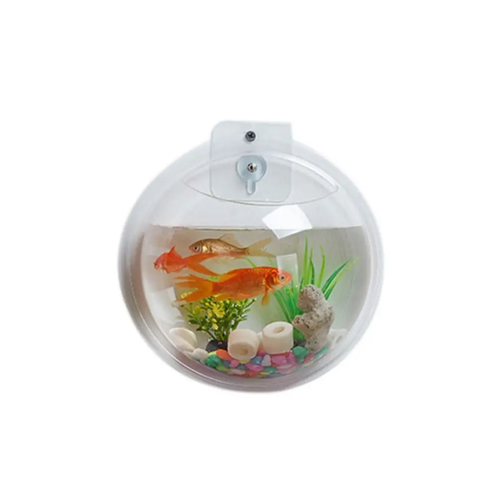 Acrylic Wall Mounted Fish Tank Hemisphere Shape Transparent Wall ...