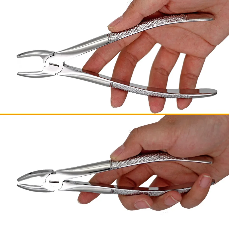 Dental Forceps