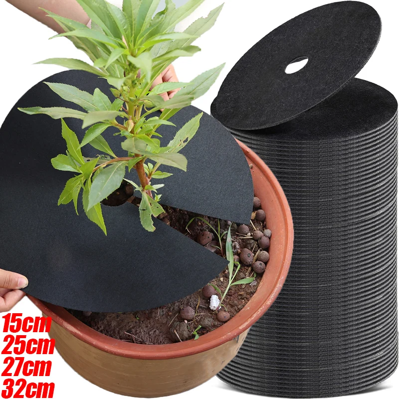 What Are Weed Grow Boxes and How to Choose the Best One for Your Garden?