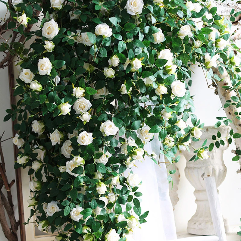 Shop1102642421 Store