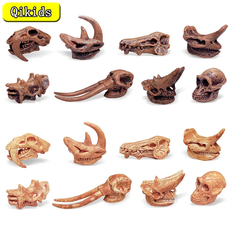 Dinosaur-Toy-Simulation-Animal-Skull-Plastic-Fossil-Teaching-Dinosaurs ...