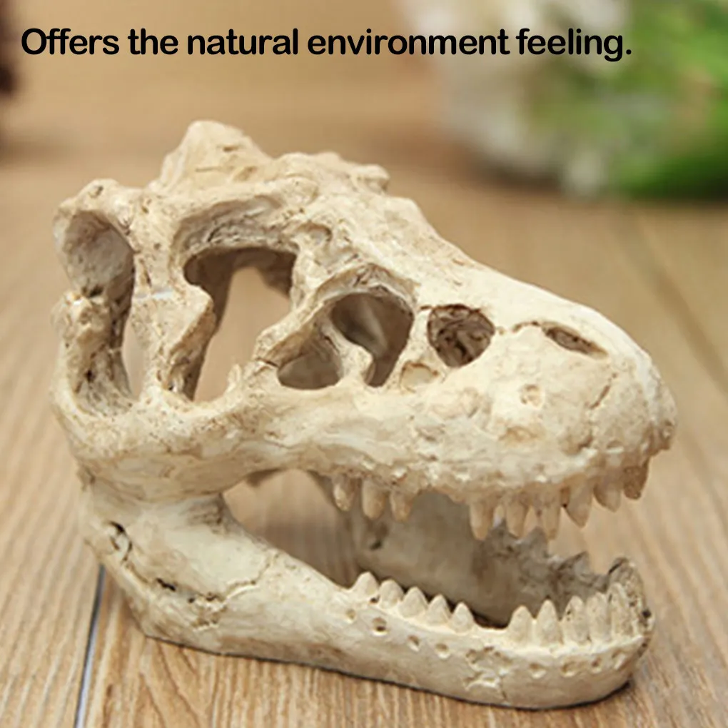 1 Pcs Dragon Resin Aquarium/Terrarium Decoration Crocodile Skull For ...
