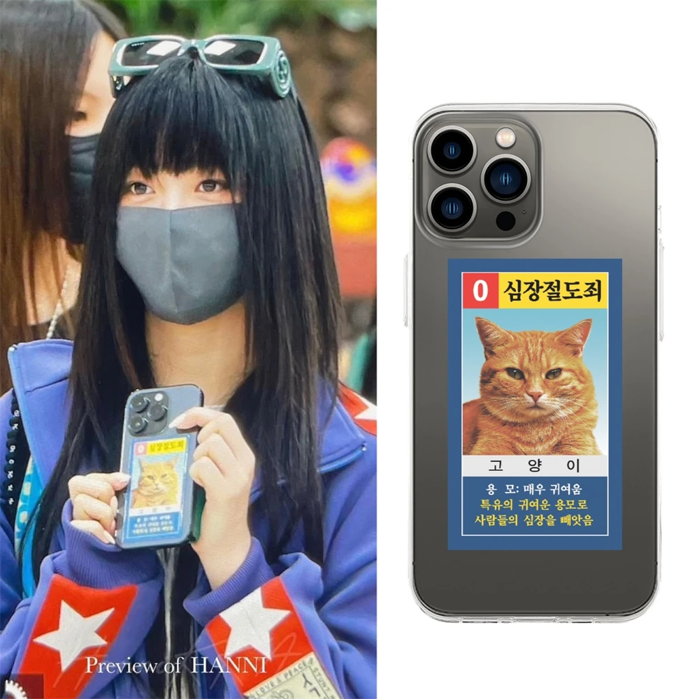 INS-Kpop-Idol-NewJeans-Hanni-Ginger-Cat-Clear-Phone-Case-For-iPhone-15 ...