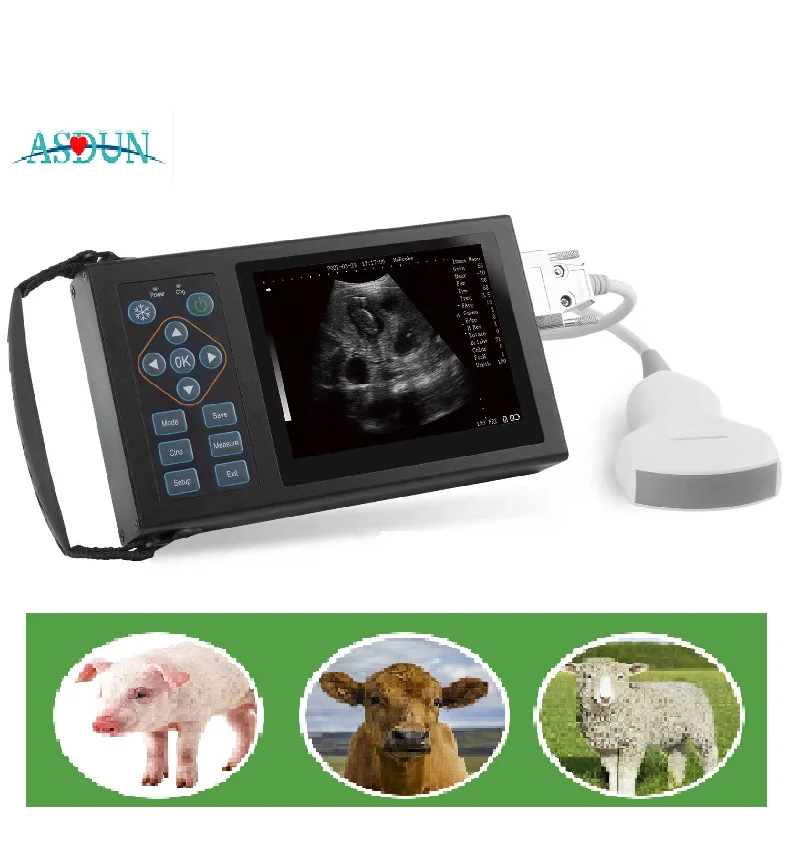 Animal-Ultrasound-Machine-Pig-Cattle-Sheep-Goat-Handheld-Ultrasound ...