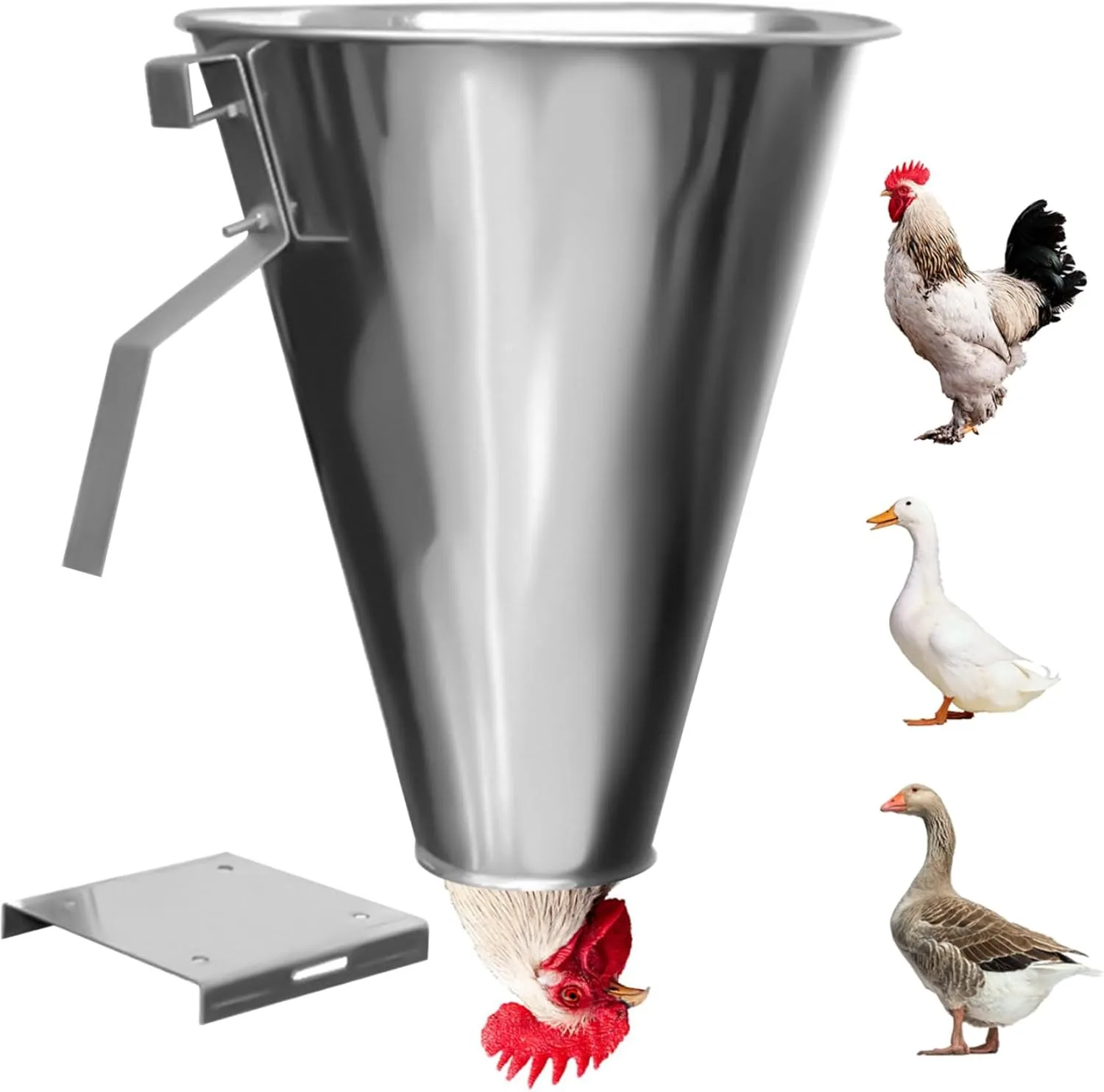 Poultry-Cone-Killing-Poultry-Duck-Equipment-Slaughtering-Tool-Slaughter ...