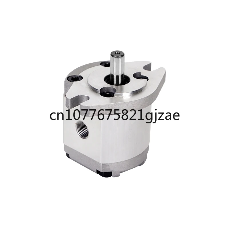 Chinese-manufacturer-sells-precision-High-pressure-Mini-Gear-pump ...
