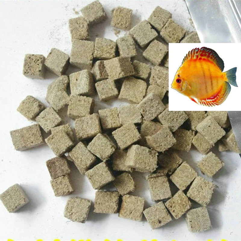 Dried Red Worm Cube Aquarium Fish Tool