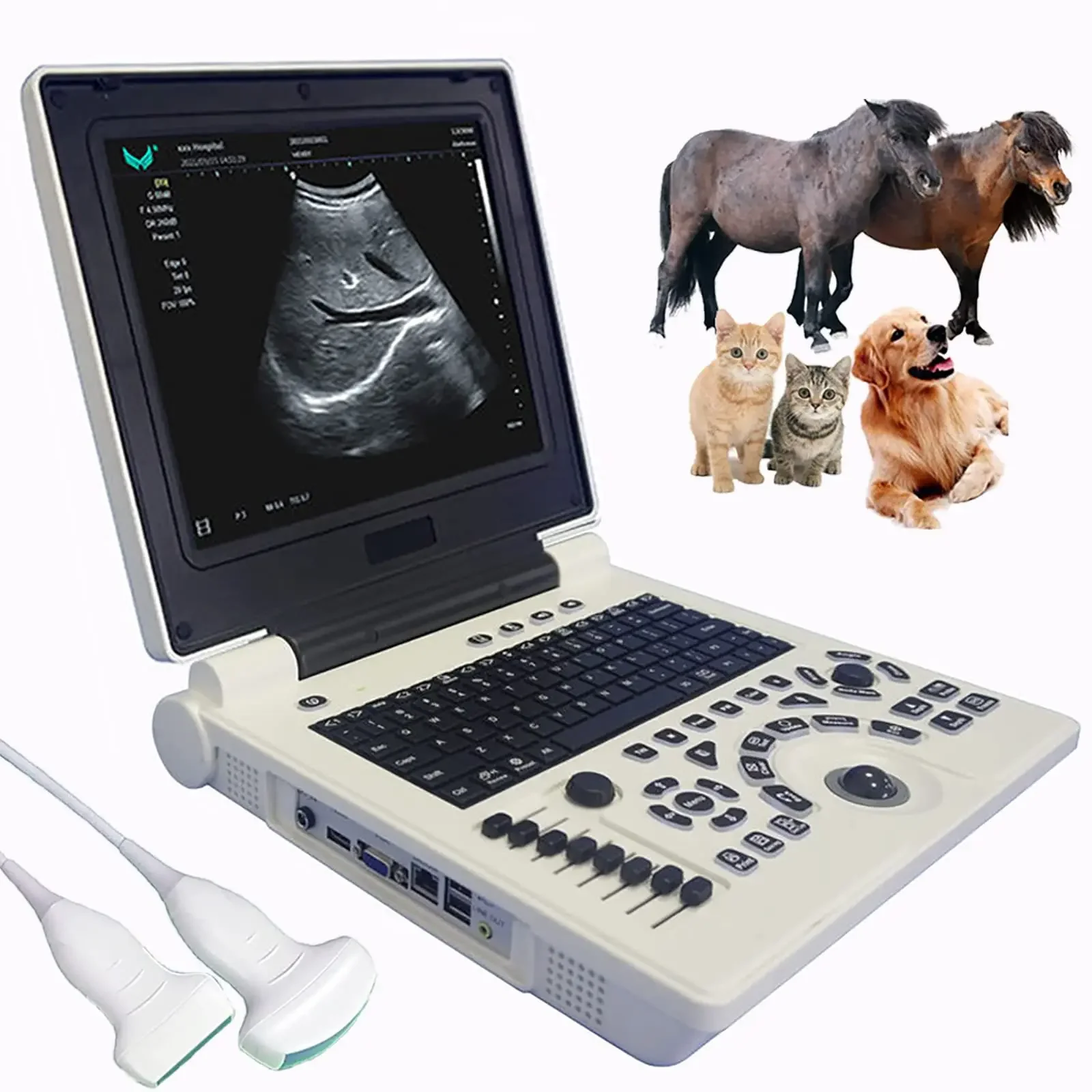 12-Inch-Portable-Black-White-Doppler-Farm-Animals-Pregnancy-Convex ...