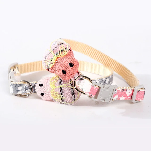 Human Collars And Leashes