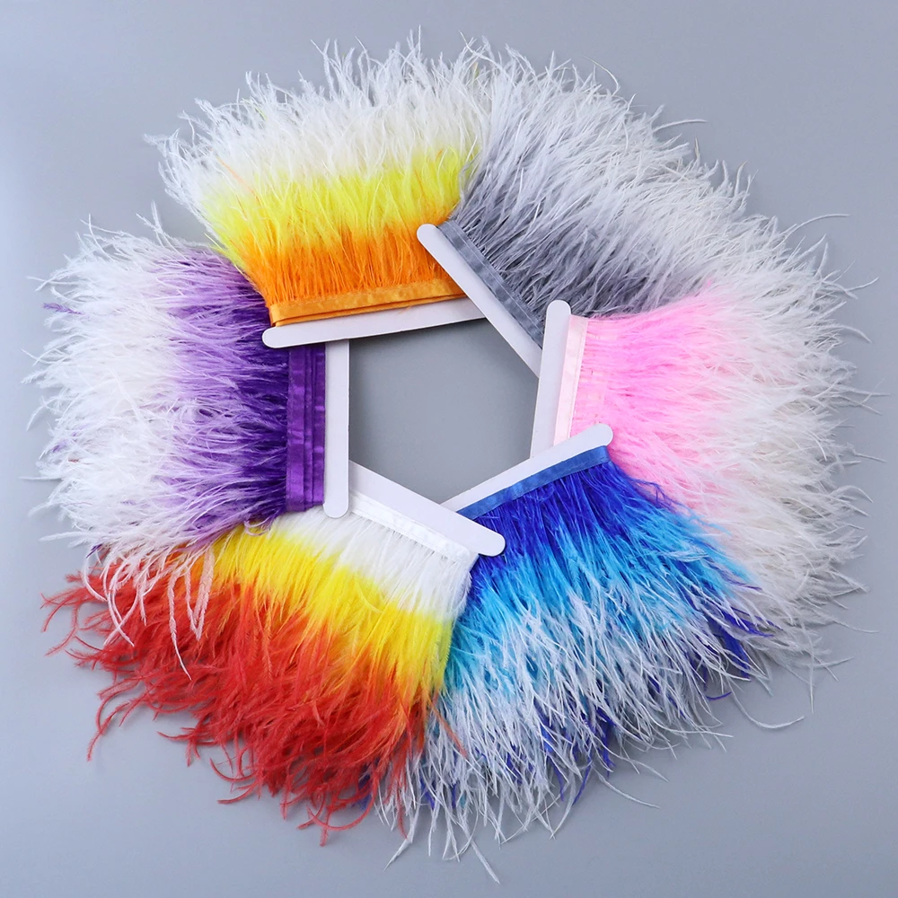 Gradient Color Ostrich Feathers Trim 10-15CM Natural Ostrich Feather ...
