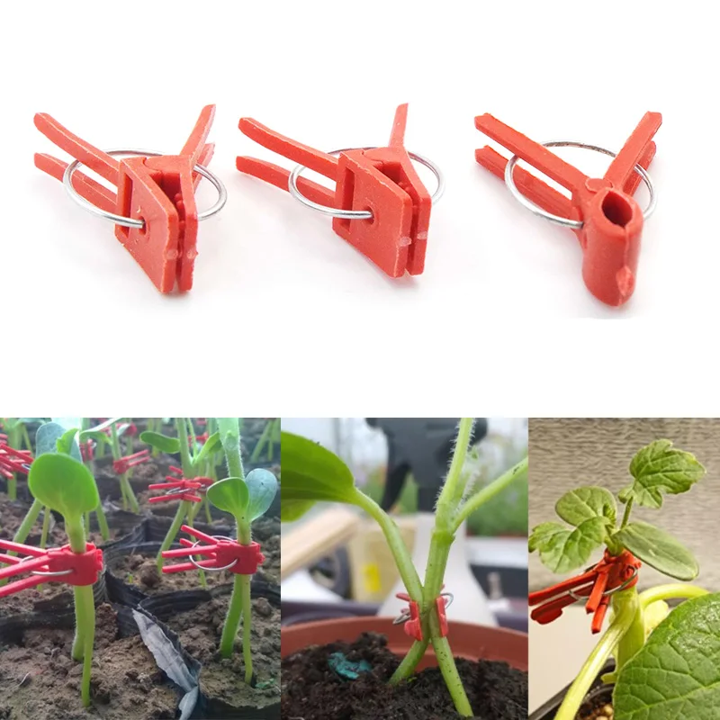 10/50pcs Garden Graft Clip Plastic Plant Support Clips Anti-fall ...
