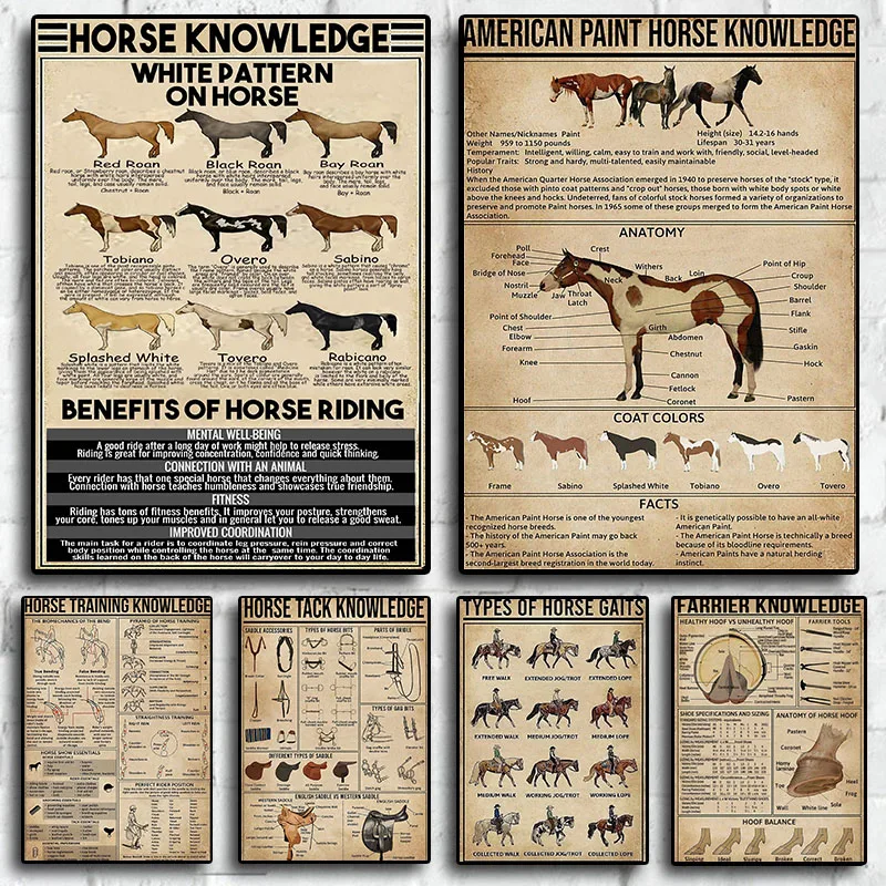 Vintage Horse Posters: The Ultimate Guide to Choosing the Right Retro ...
