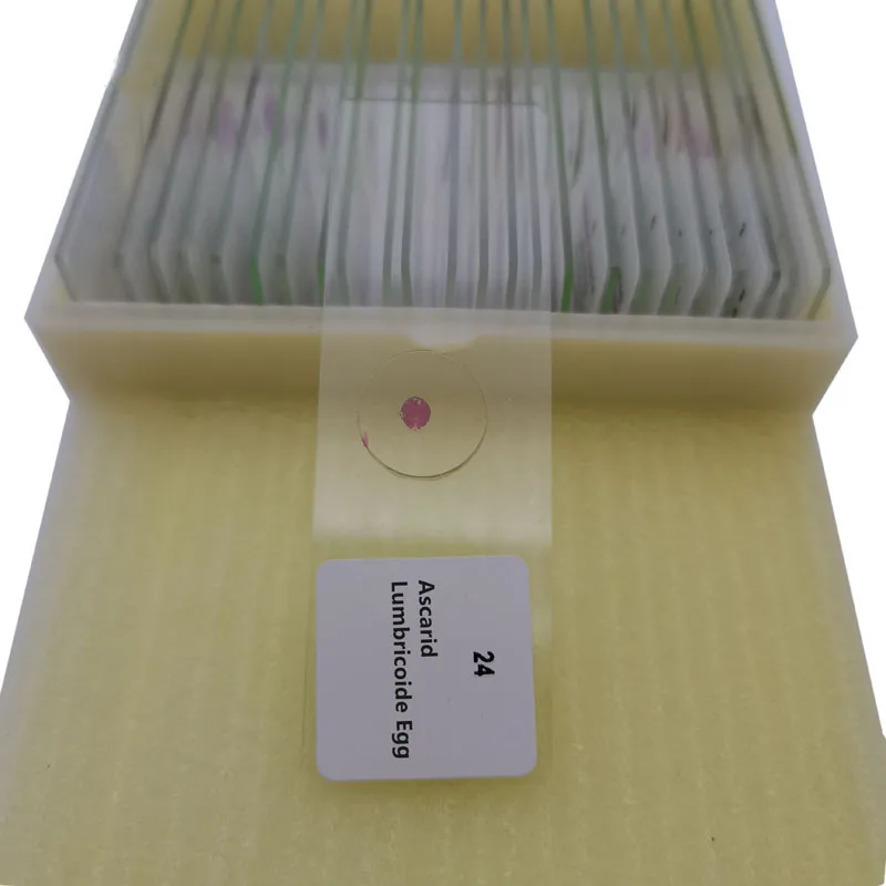 25pcs-Set-Medical-Parasitology-Parasite-Prepared-Microscope-Slides.jpg