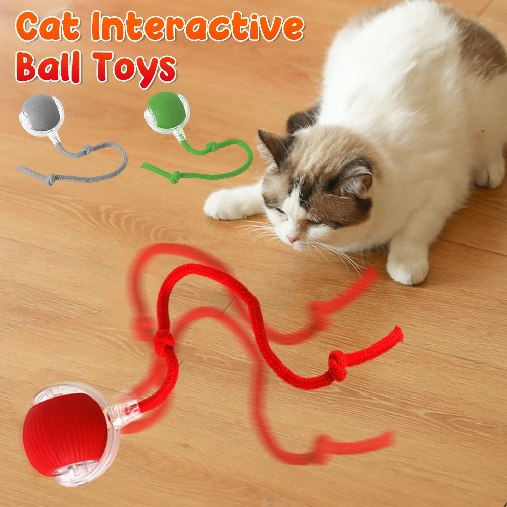 New-Cat-Interactive-Ball-Toys-Automatic-Rolling-Ball-Rechargeable ...