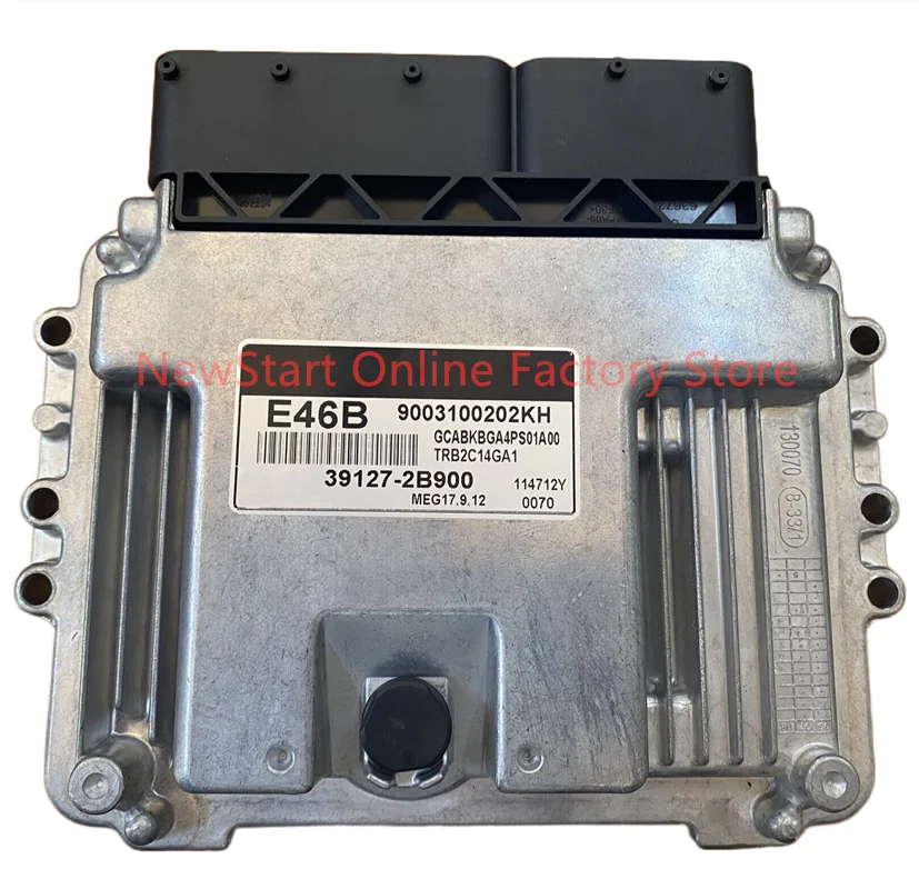 39127-2B900-New-ECU-Original-Car-Engine-Computer-Board-Electronic ...