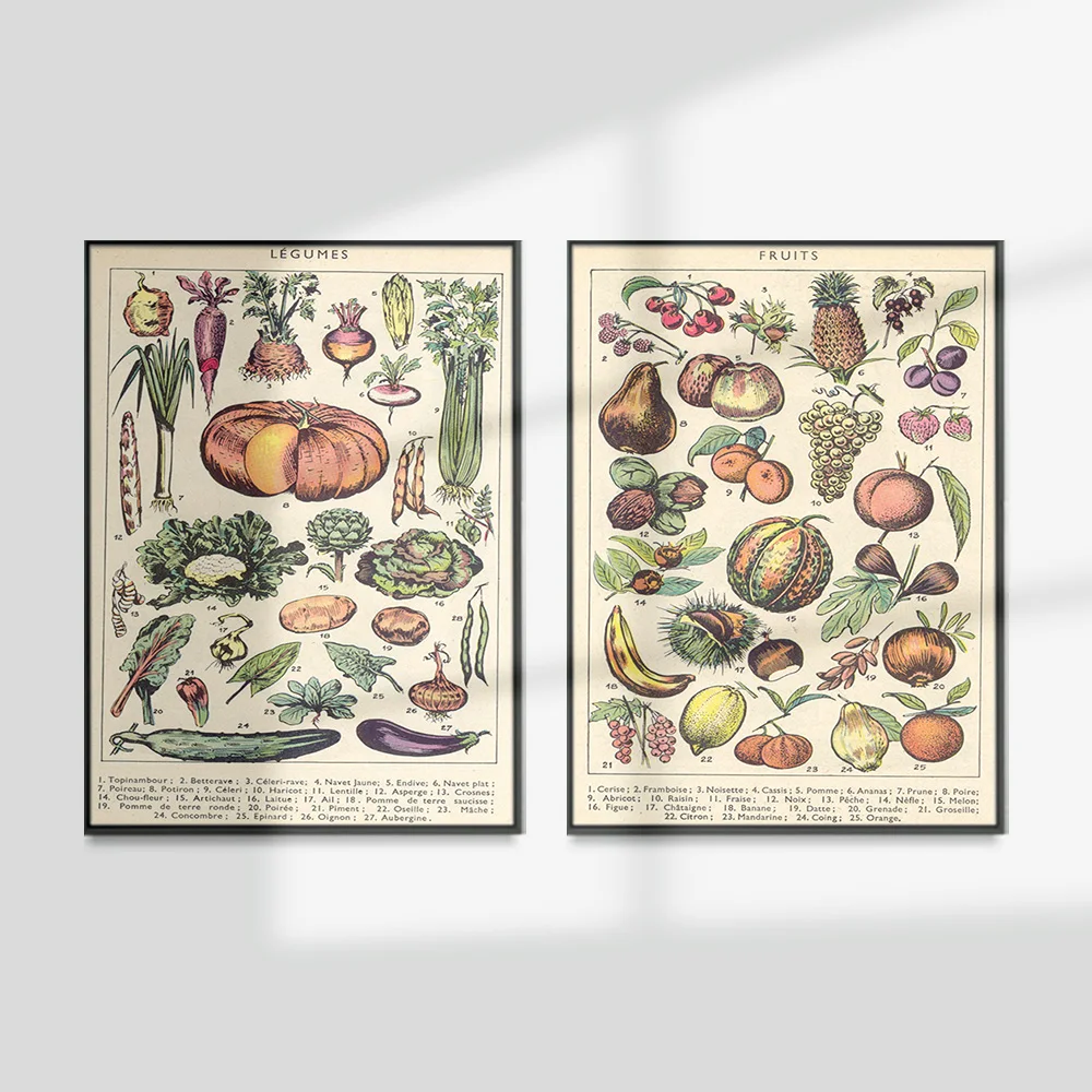 Vintage Vegetable Drawing