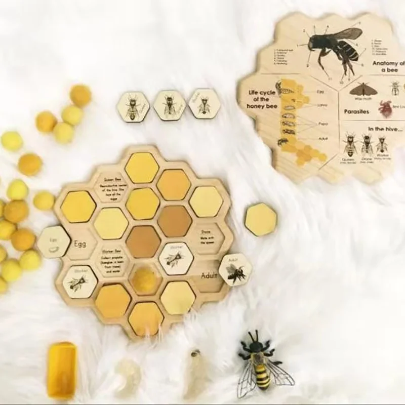 Montessori-Bee-Growth-Cycle-Science-Teaching-Aids-Wooden-Bee-Jigsaw ...