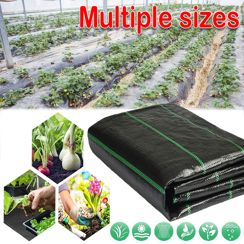 4X5M-Anti-Grass-Mulch-Cloth-Pitaya-Weed-Barrier-Mat-Orchard-Humitifing ...