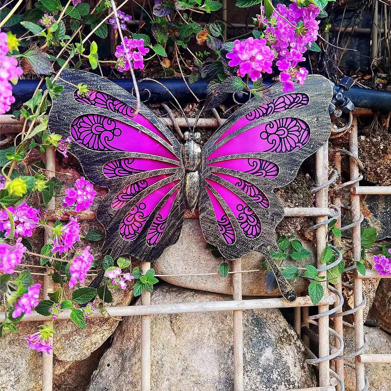 Metallic Colored Butterfly