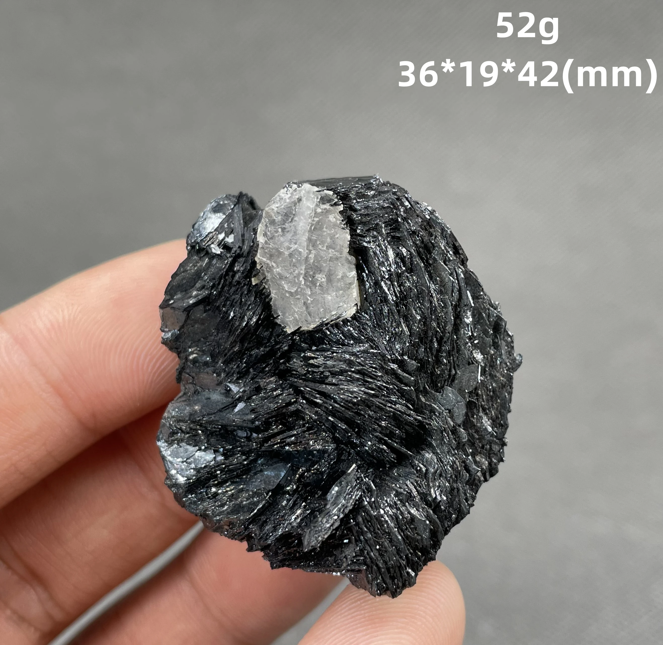Natural Specular hematite and crystal symbiosis mineral specimen ...
