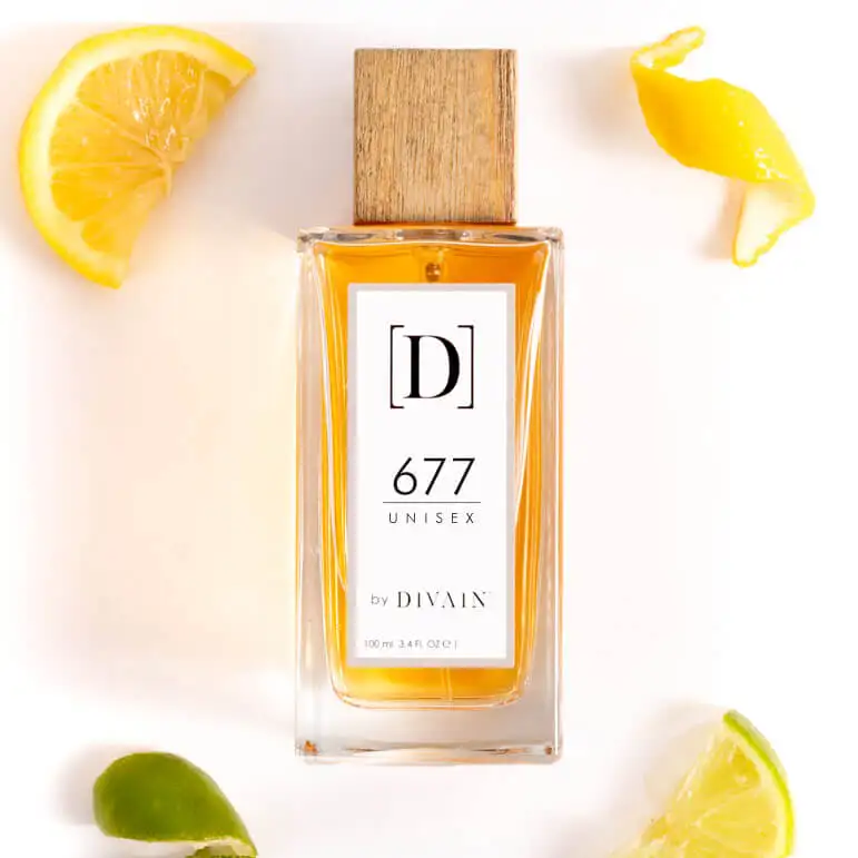 DIVAIN 677 Perfume Unisex 100ml| | - AliExpress