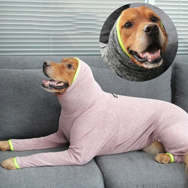 Labrador Dog Pajama