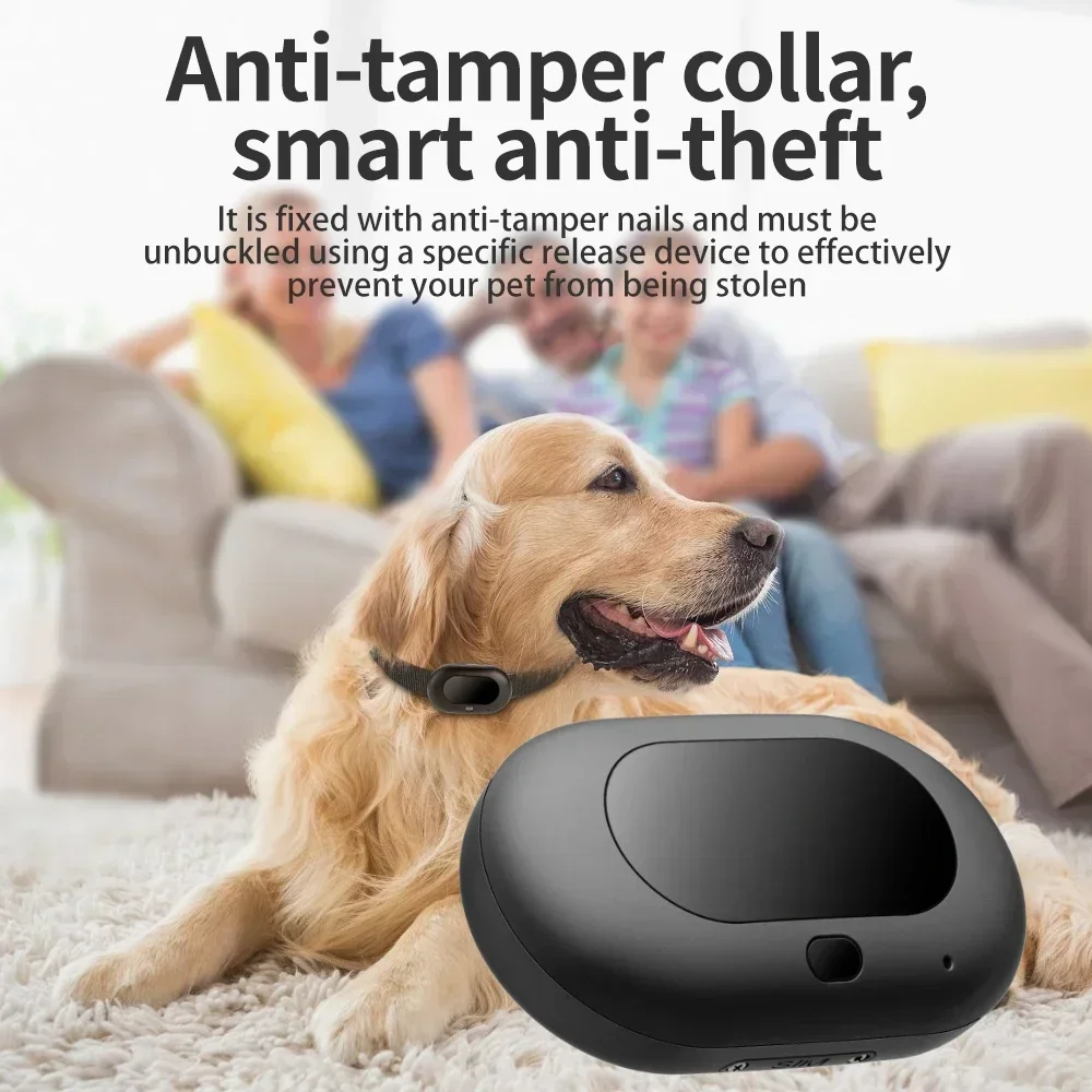 FR-V41-GPS-Pet-Tracker-4G-LTE-2G-GSM-Best-Dog-Pet-Locator-with-Free-APP.jpg