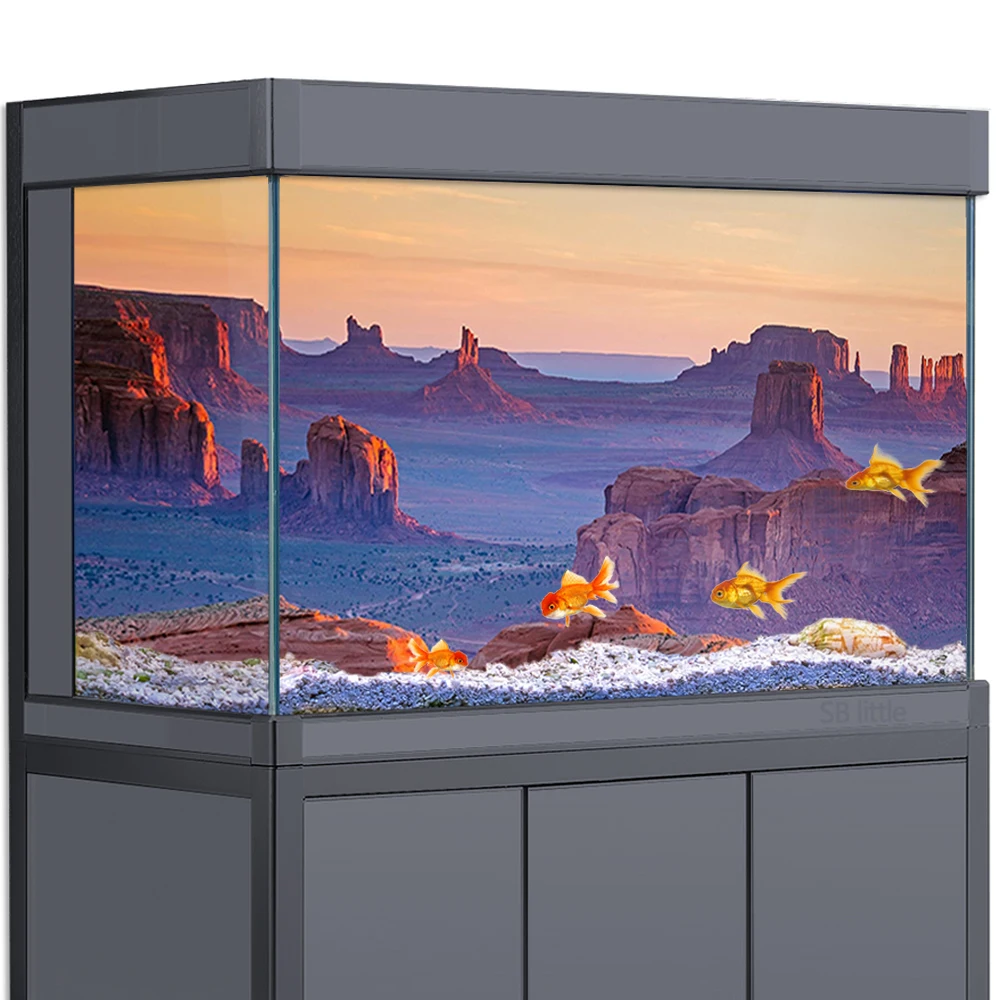 Freshwater Aquarium Background