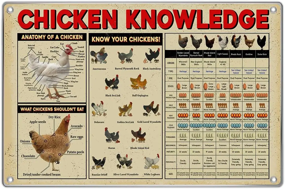 Letrero Metálico Educativo de Anatomía de Pollo, 12 x 8 Pulgadas ...