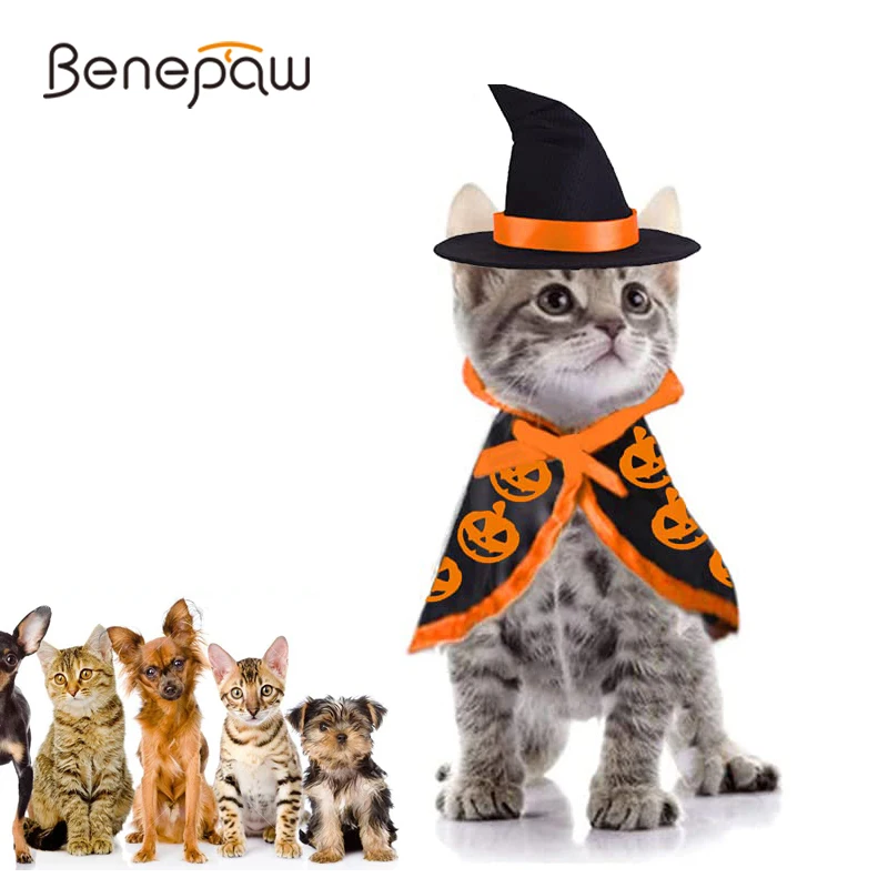 Cat Witch Costume
