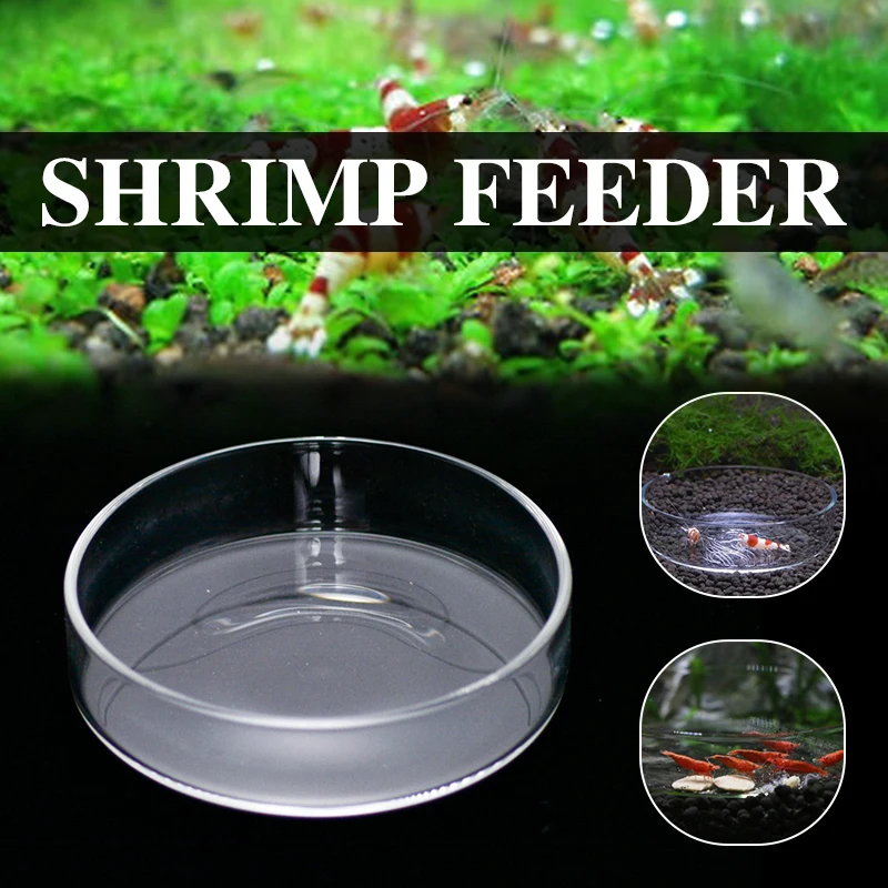 Aquarium Feeding Bowl Clear Glass Crystal Ornamental Shrimp Feeding ...