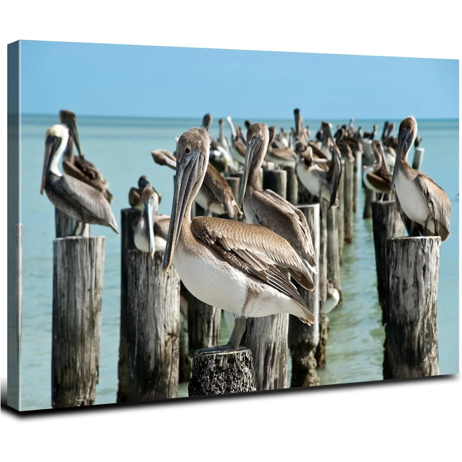 Coastal-Pelicans-Art-5D-diamond-mosaic-full-drill-Beach-Bird-diamond ...