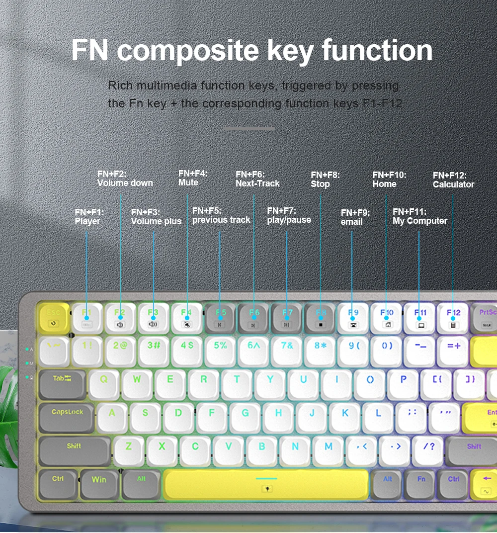 REDRAGON TL84-B RGB USB Mini Slim Ultra-Thin Wired Mechanical Gaming Keyboard Red Blue Switch 84 ...