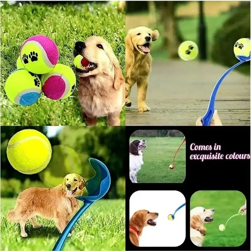 Pet Throwing Stick, Throwing Device, Throwing Toy, Dog And Cat ...